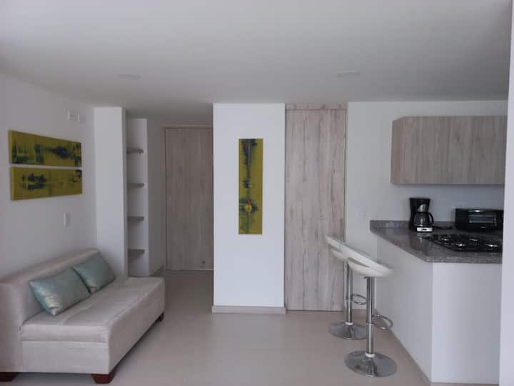 Espectacular Apartamento 1 Cuarto Ubicación Top - Manizales
