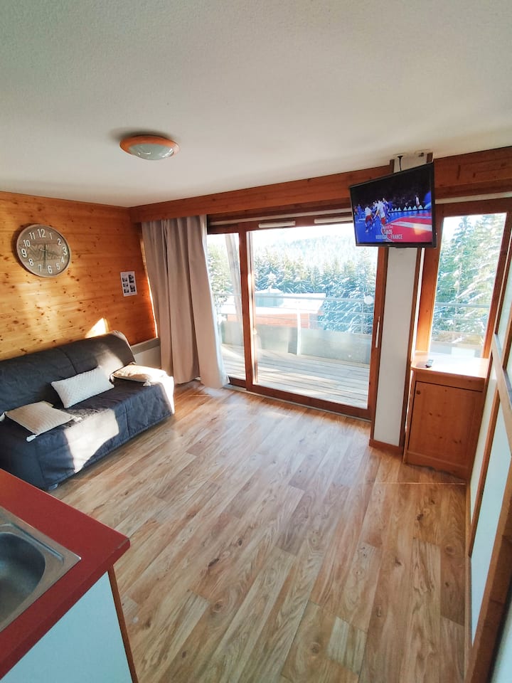 Le Sorbier, 2 Chambres, 6 Couchages ; Vue Montagne - Chamrousse