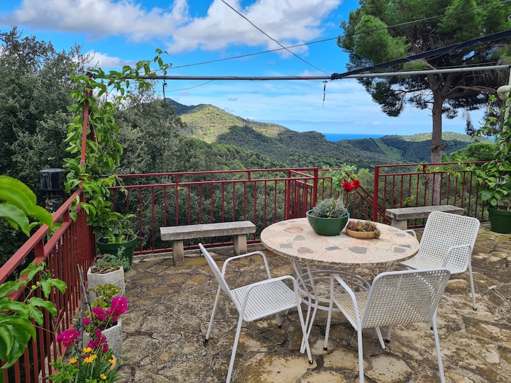 Forest Retreat - Sant Celoni