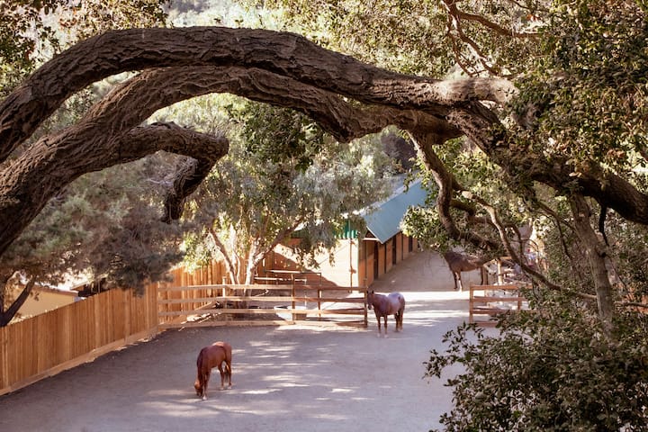 10 Best Ranches To Stay In Malibu, California | Trip101