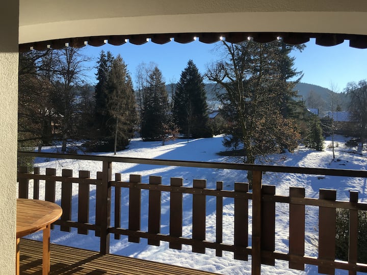 120 M2 Emplacement Exceptionnel Vue Lac Et Parc - Lac de Gérardmer