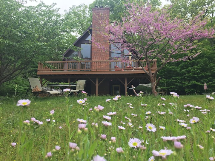 Forest Chalet In Ashfield - DAR State Forest, Goshen