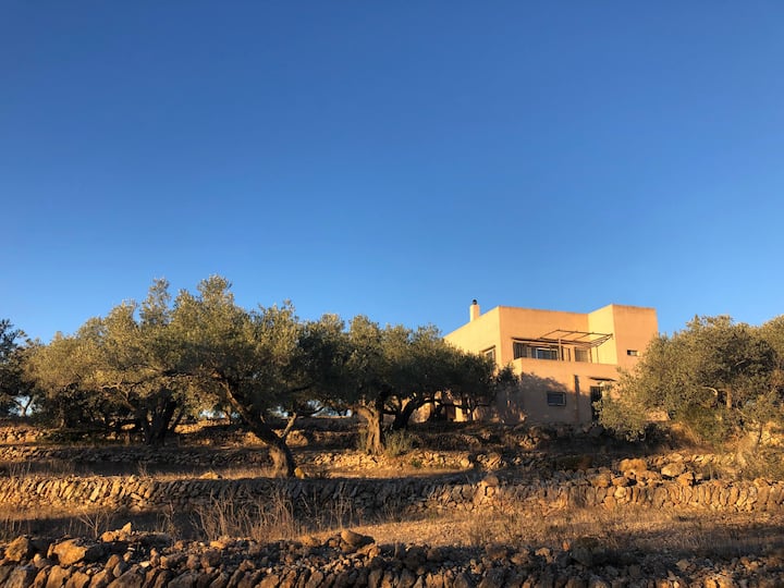 La Quinta Olivera - Costa Daurada