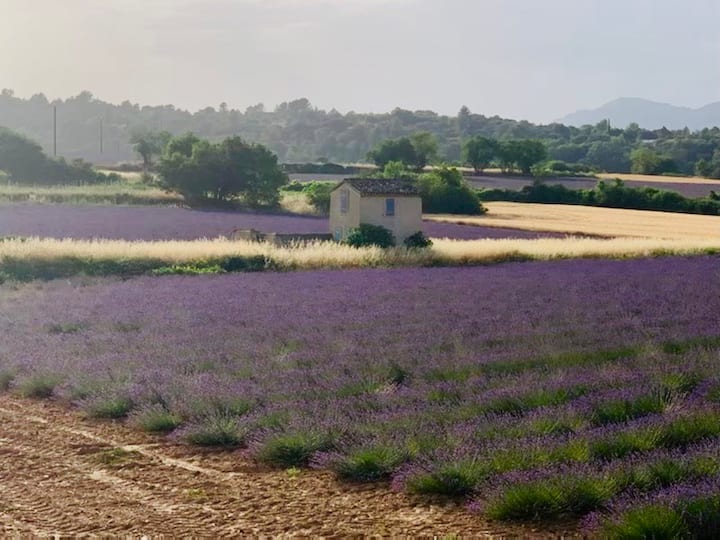 Location De Vacances Rians Haut Var - Pourrières