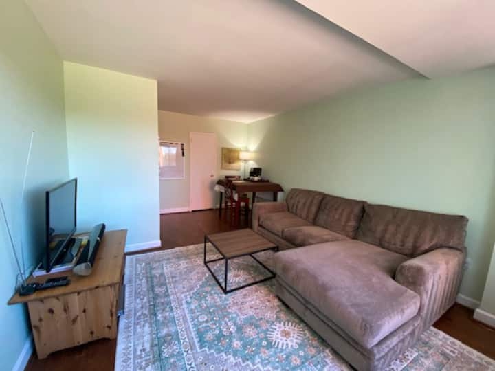 Awesome Junior 1br With View Of Iwo Jima - Arlington, VA