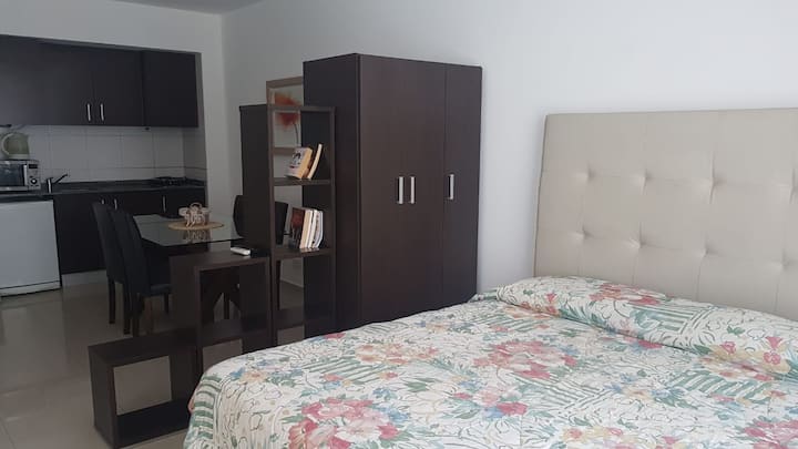 Comfortable Estudio Cerca De Plaza Italia - Buenos Aires