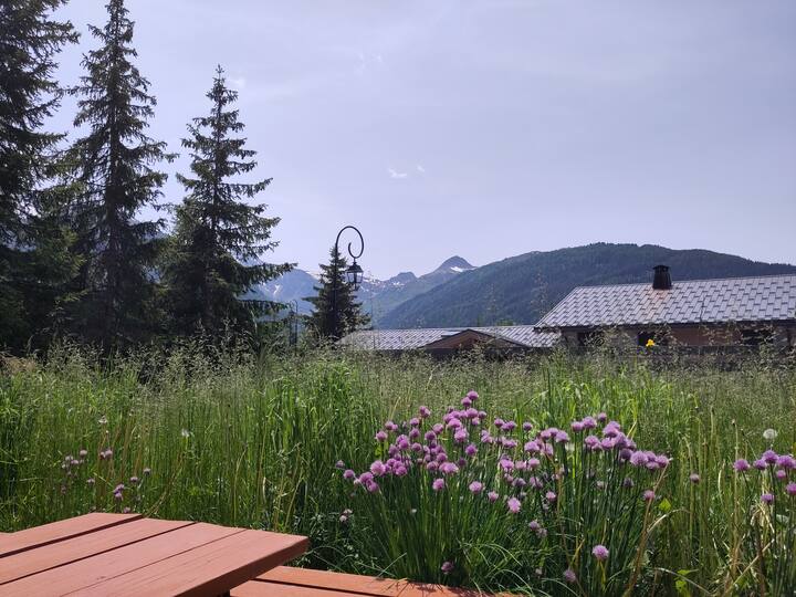 Appartement Et Terrasse, Plan Peisey Les Arcs - Les Coches