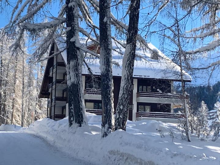 6 Pers App In Mountains Of Beautiful Bellwald - Fiesch