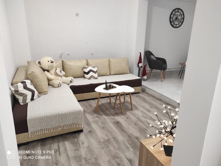 Vila Gaga Za Odmor,zabavu I Uživanje - Novi Sad