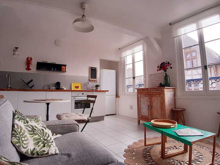 Troyes Centre Ville / Joli T2 / 40m2 - Troyes