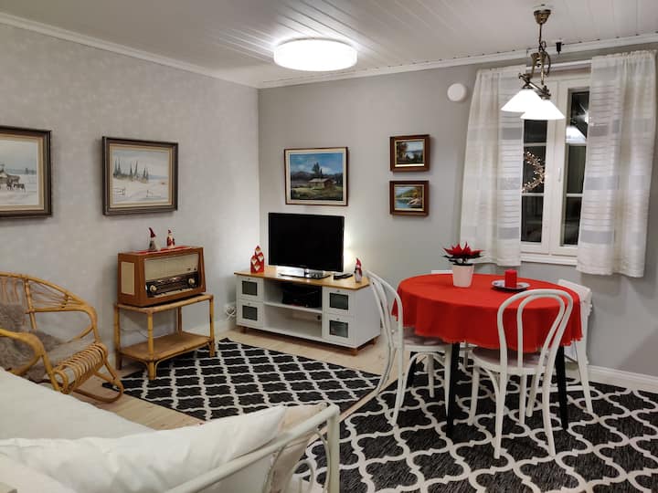 Viihtyisä Ja Rauhallinen Huoneisto. - Rovaniemi
