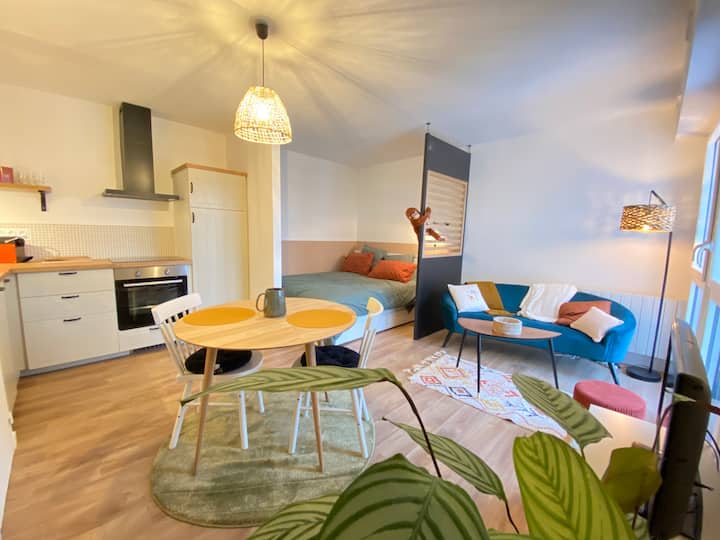 Little Monkey's Appartement : Cosy Et Tout éQuipé - Rennes