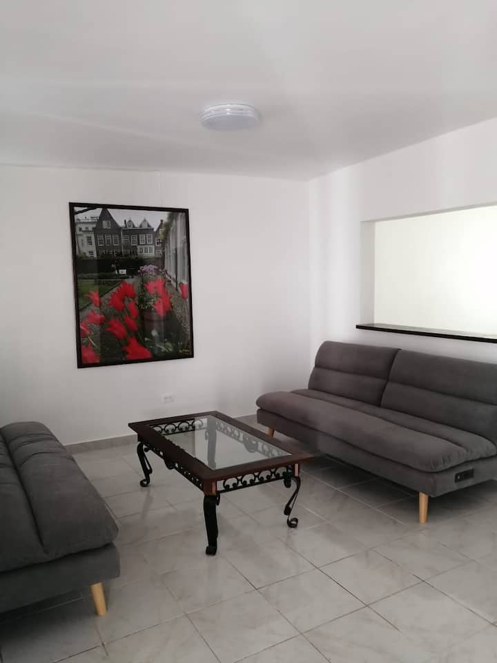 Spacious Executive Apartment In A Residential Area - Saltillo