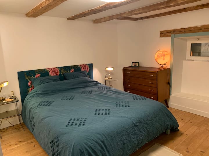 Au Coeur De La Veille Ville D'annecy - Annecy