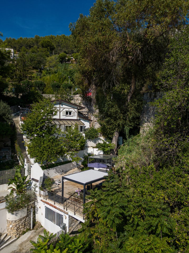 Monaco - Beausoleil Sea View  White Crest Villa - Menton