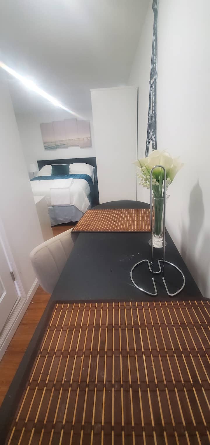Lovely Fully Furnished Studio Apartment. - Silver Spring, MD