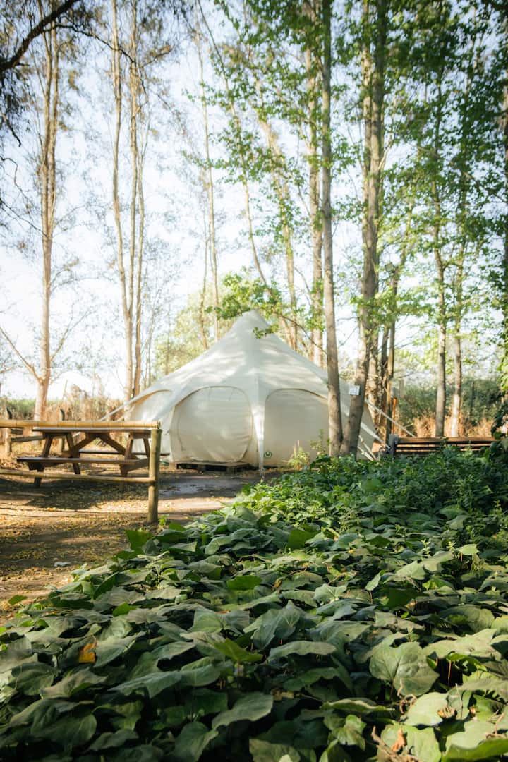 Yurta 3 Glamping Remanso - Talagante