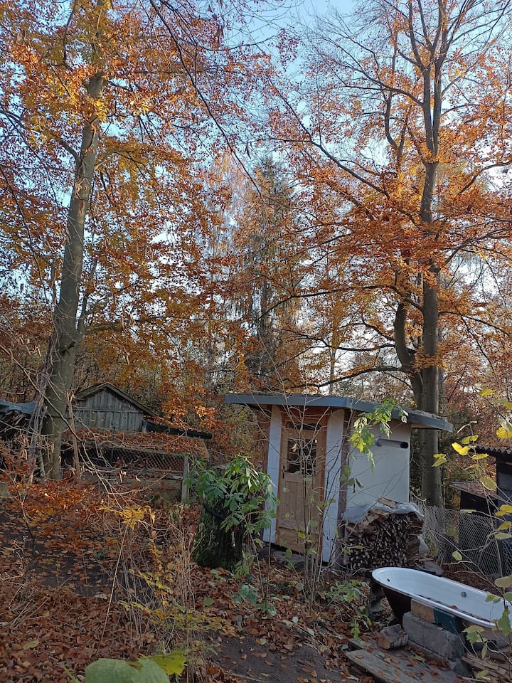 Gartensauna Mit Wohnwagen Und Freiluftbadewanne - Linz