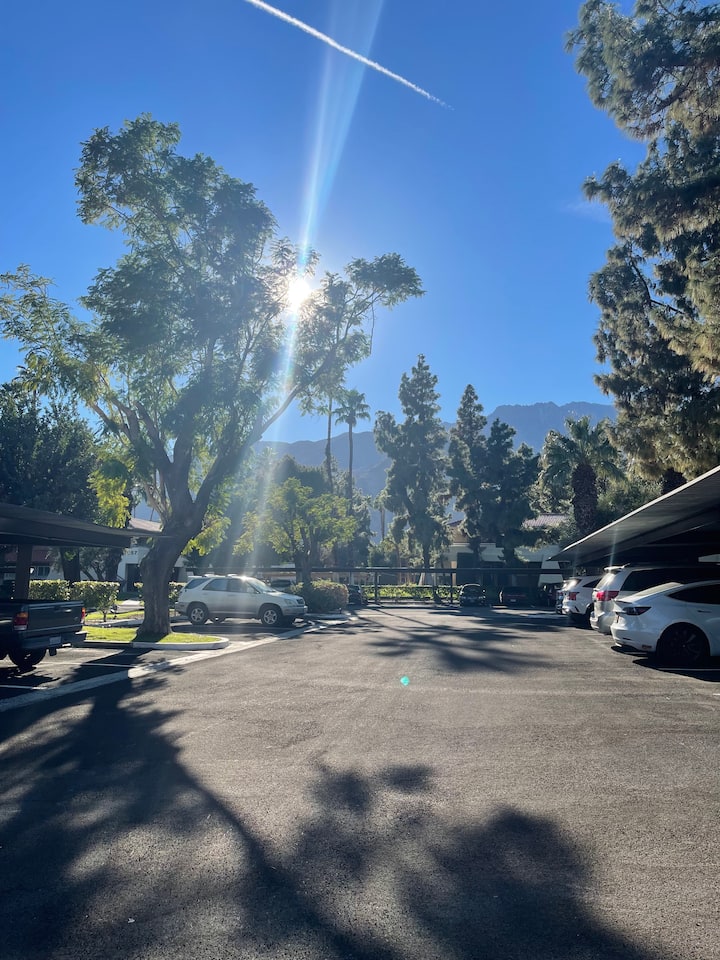 Cozy 1-bedroom Condo In The Heart Of Palm Springs - Palm Springs, CA