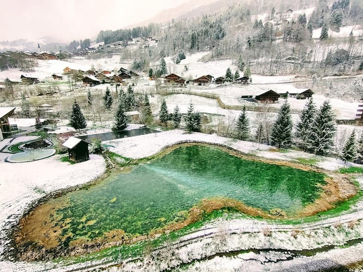 Mountain Chalet Apartment Close To Lake Geneva - Champéry