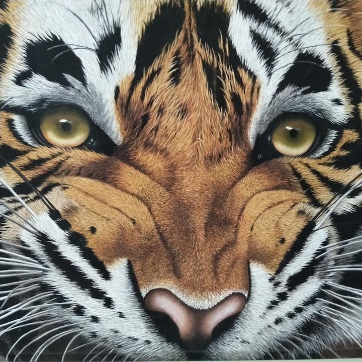 Luxury Homestay In Ranthambhore - Sawai Madhopur