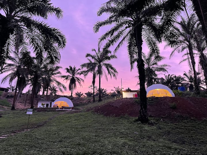 Finca Las Palmas Glamping & Camping - Santo Domingo