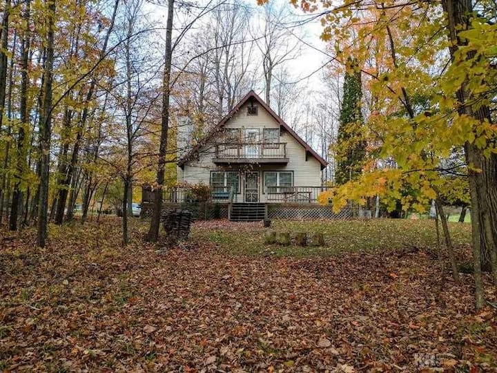 Lake Lancer Vacation Rentals & Homes - Butman Township, MI | Airbnb