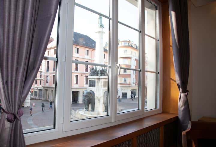 Appartement Place Des éLéphants - Chambéry