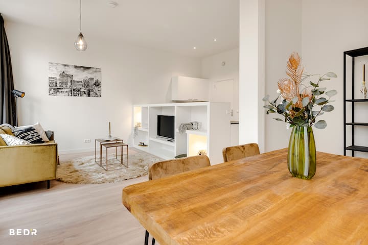 Noorderplantsoen Two Bedroom Apartment - Groningen