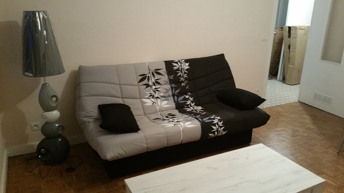 GrandT2 proche Jaude et 14 km de Vulcania - Condos à louer à Clermont ...