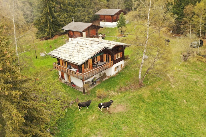 Amazing Chalet With Beautiful View - Grächen