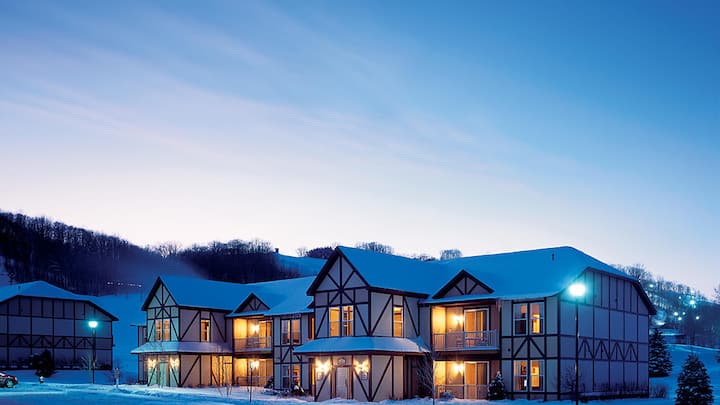 Four Seasons Fun! - Amazing 1 Bedroom W/ Fireplace - Boyne Falls, MI