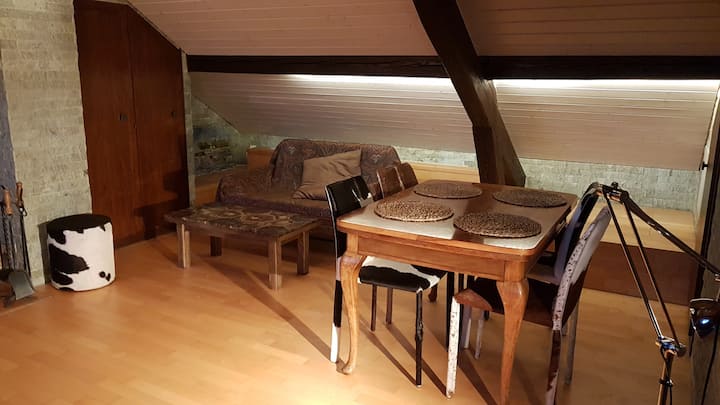 Superbe Appartement Sous Les Toits - Lausanne