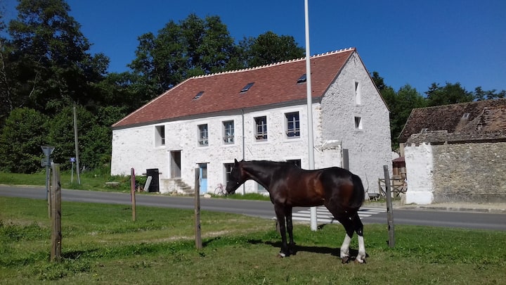 Appartement En Rez-de-chaussée Dans Corps De Ferme - Gif-sur-Yvette