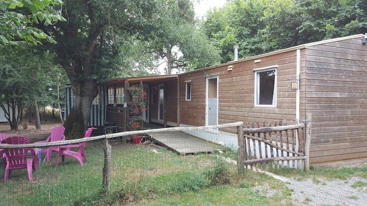 Mobilhome Sous Le Chêne Au Cœur Du Camping La Viotterie - Craon