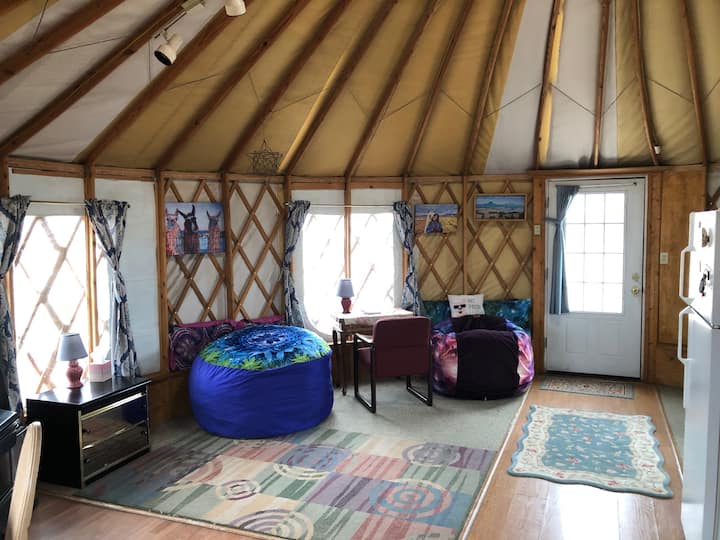 15 Best Yurts In New Mexico, USA - Updated 2025 | Trip101