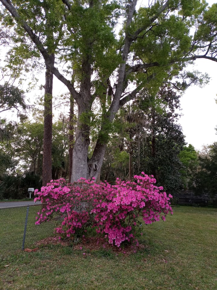 Twin Cedars Glamping N St. Augustine - St. Augustine, FL