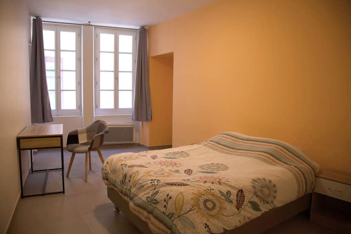 Grand Appartement Hyper Centre 3 Chambres - Chambéry