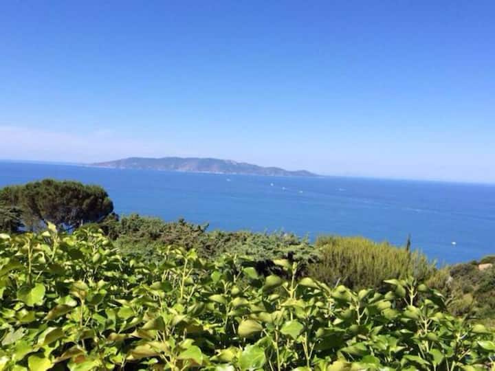 Vue Extraordinaire, Piscine, Design Et Jardin - Monte Argentario