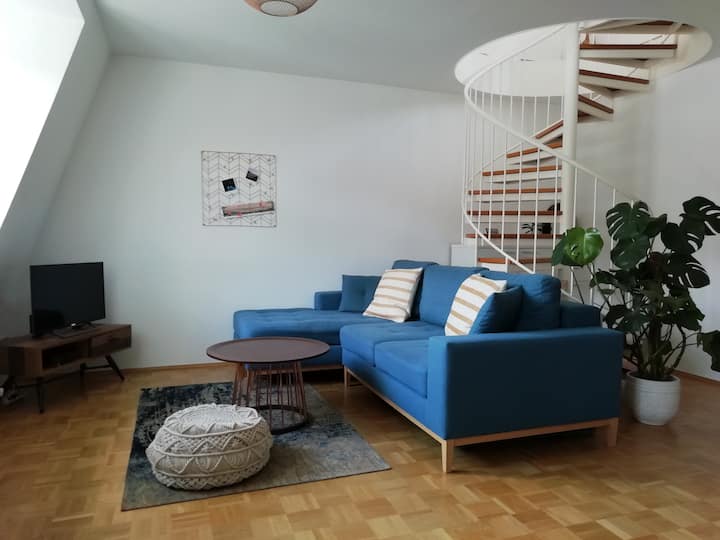Maisonettewohnung Mit Dachterrasse In Elbnähe - Dresden
