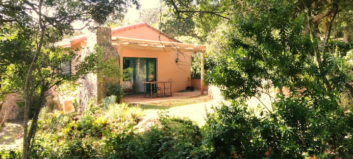 Garden Facing Self Accommodation Suite - Kenton-on-Sea