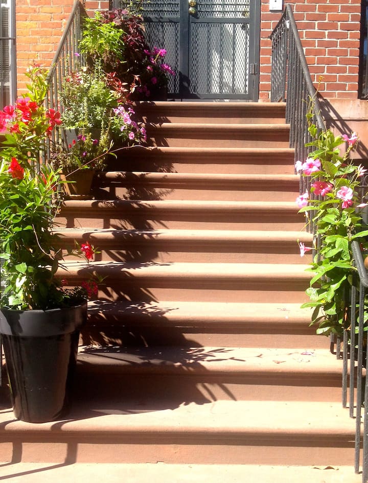 Sunny Stylish 2 Bedroom 2 Blocks From Subway - Brooklyn, NY