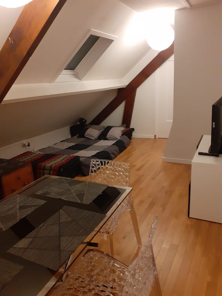 Reims - Chambres Chez L Habitant - Reims