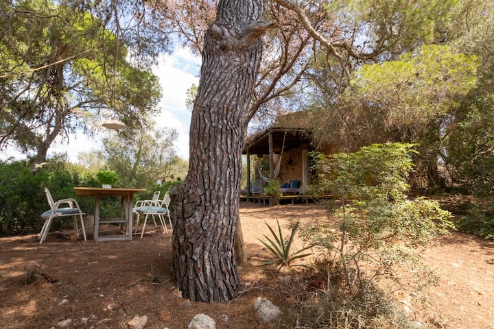 Cabaña Cerca De La Playa(alquiler Mayor A Un Mes) - Mallorca
