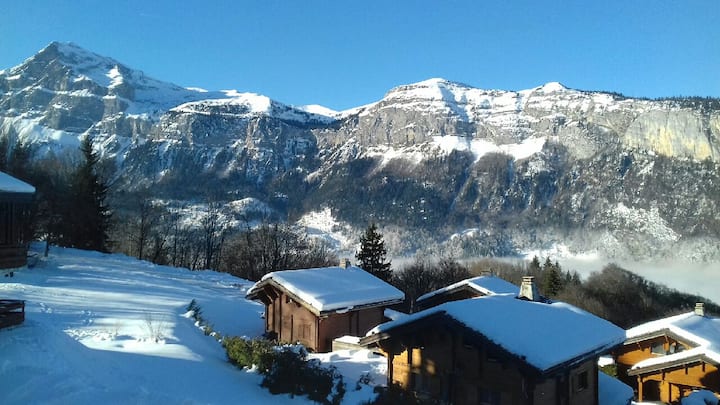 Grand T3 Lumineux Les Carroz - Flaine