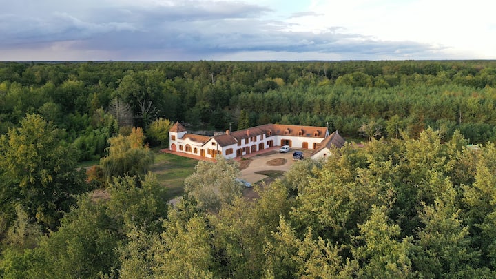 Les Basses Bruyéres - Châteauneuf-sur-Loire