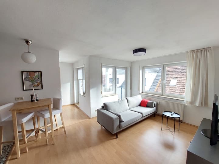 Helle 2 Zimmer Wohnung In Neu-ulm Mit Südbalkon - Neu-Ulm
