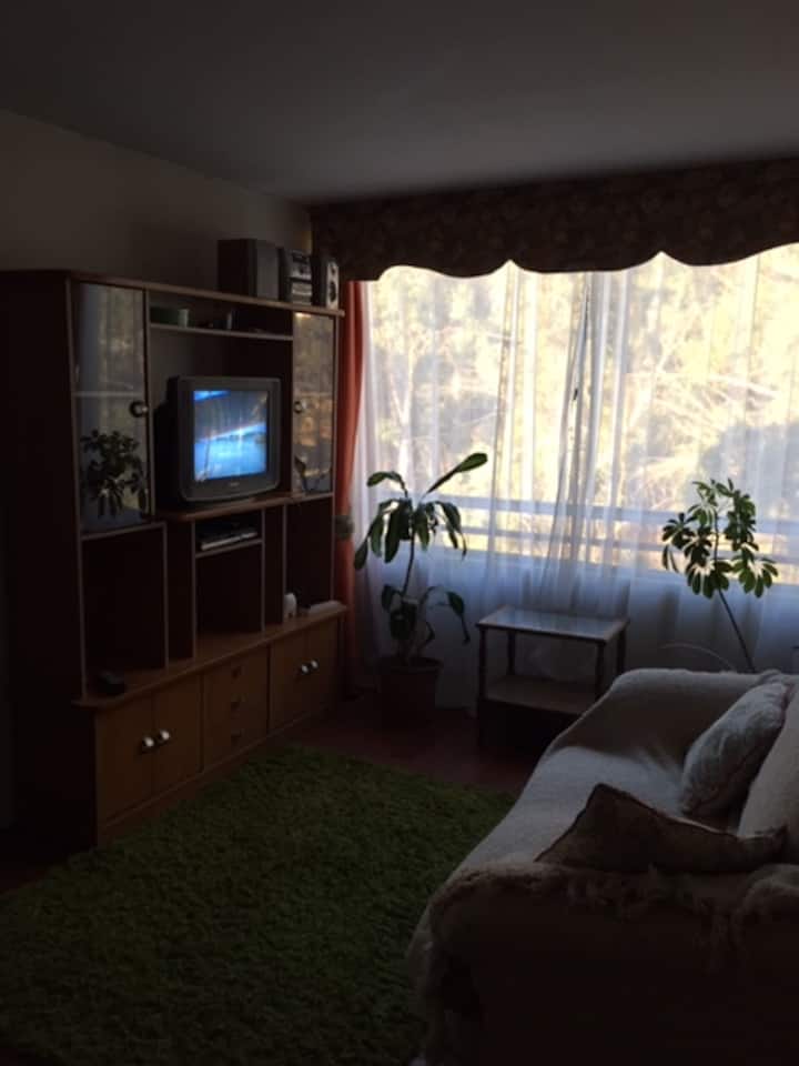 Acogedor Y Cómodo Departamento Con Piscina - Quilpué