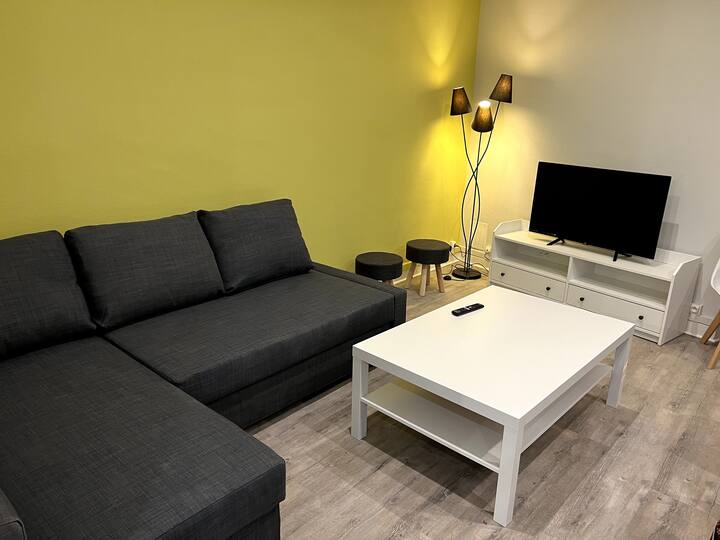 Duplex Charmant Et Confortable De Grande Capacité - Rive-de-Gier