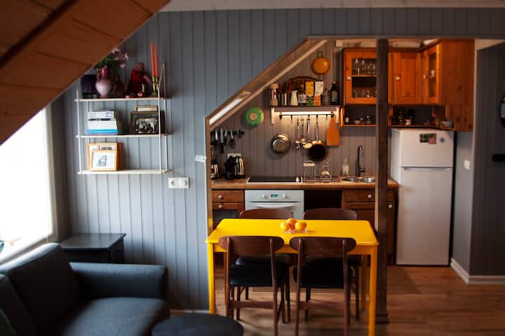 Cosy Loft In Historic Wooden House - Central - Reykjavik